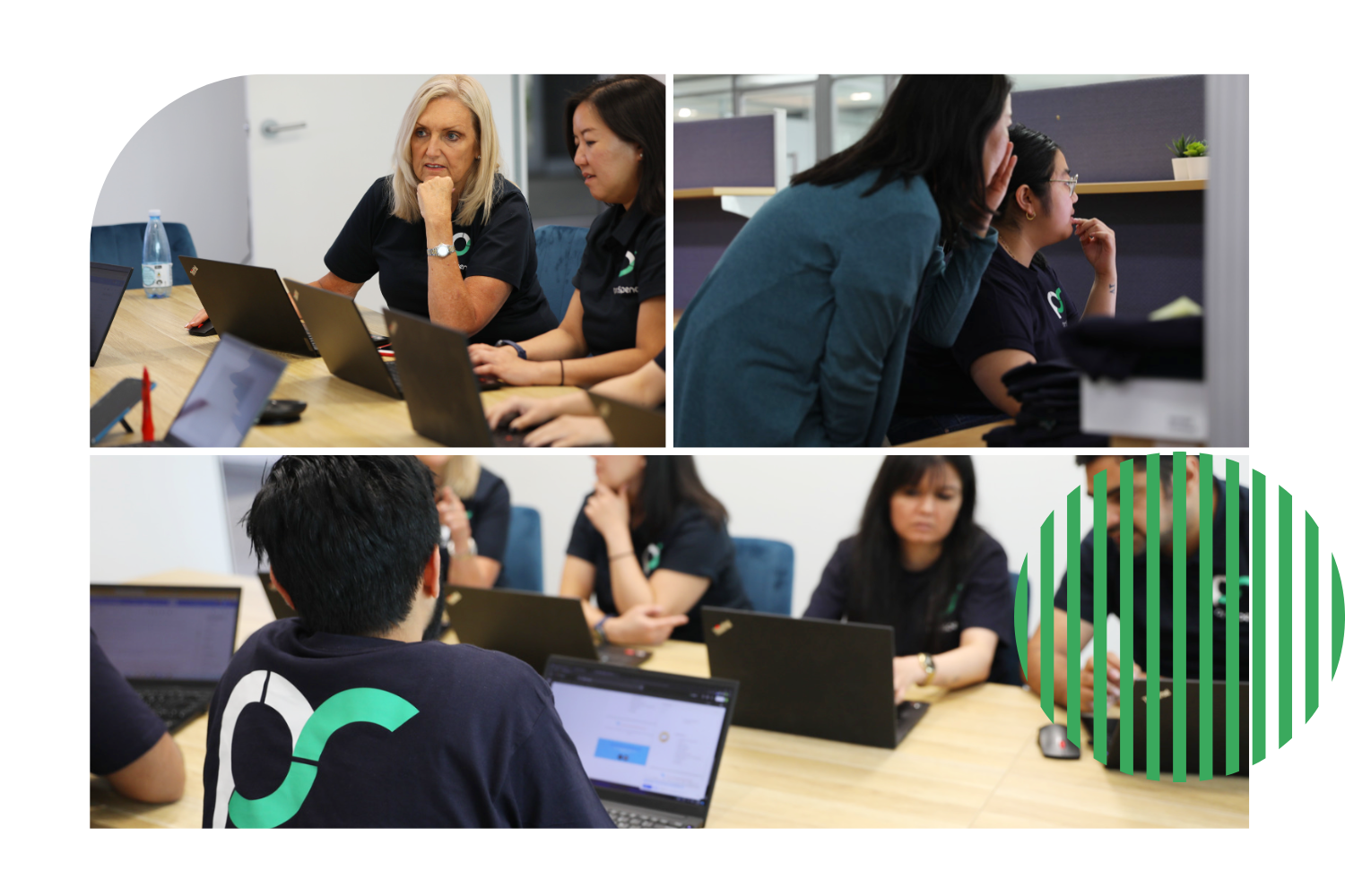 Meet the Team - ProSpend